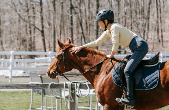 Horse Riding Lesson: Guide for All Levels